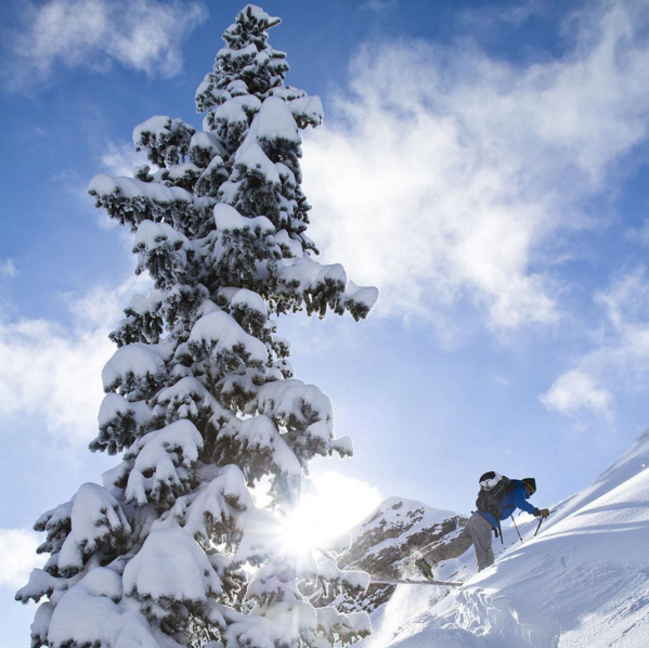 Ambassador Stories: Aaron Rice | Garmin Blog