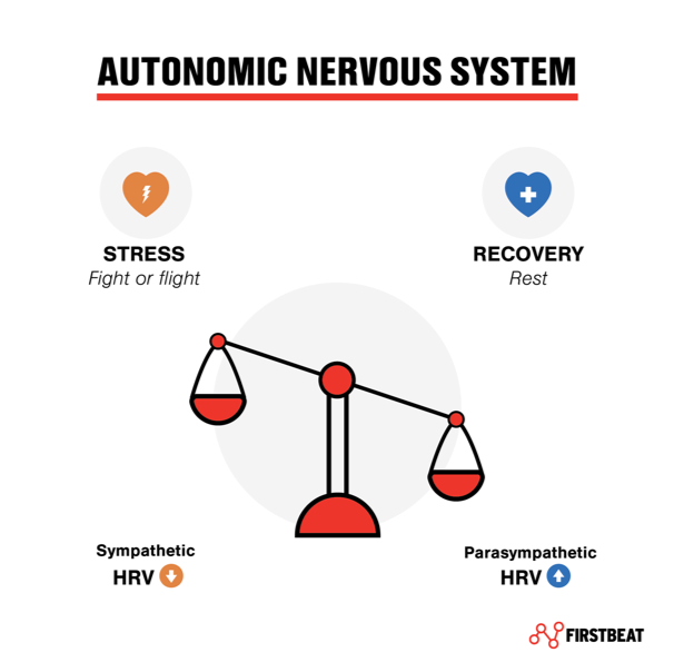 How Garmin’s Body Battery Can Teach You to Thrive