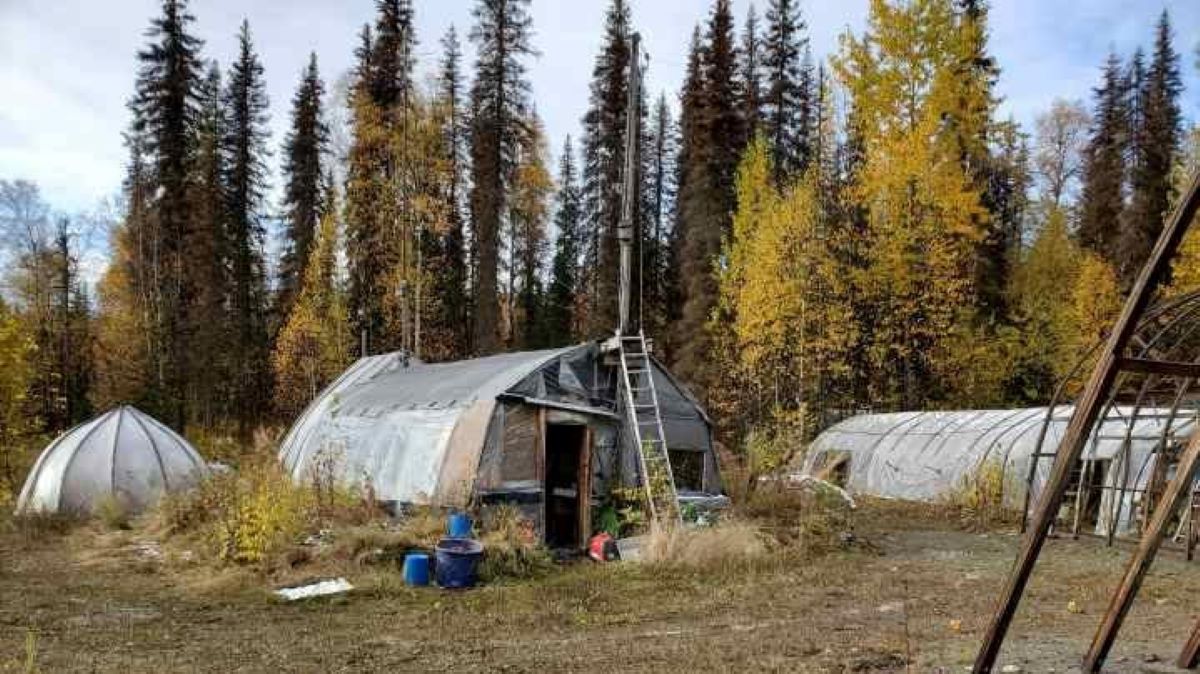 Man Survives 23 Days in Alaskan Wilderness