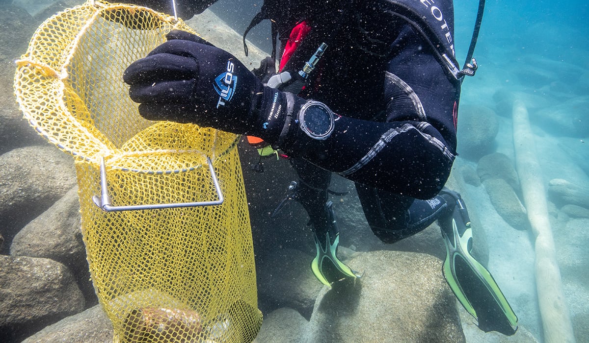 Scuba Divers Remove 8,122 Pounds of Trash and Counting from Lake Tahoe ...